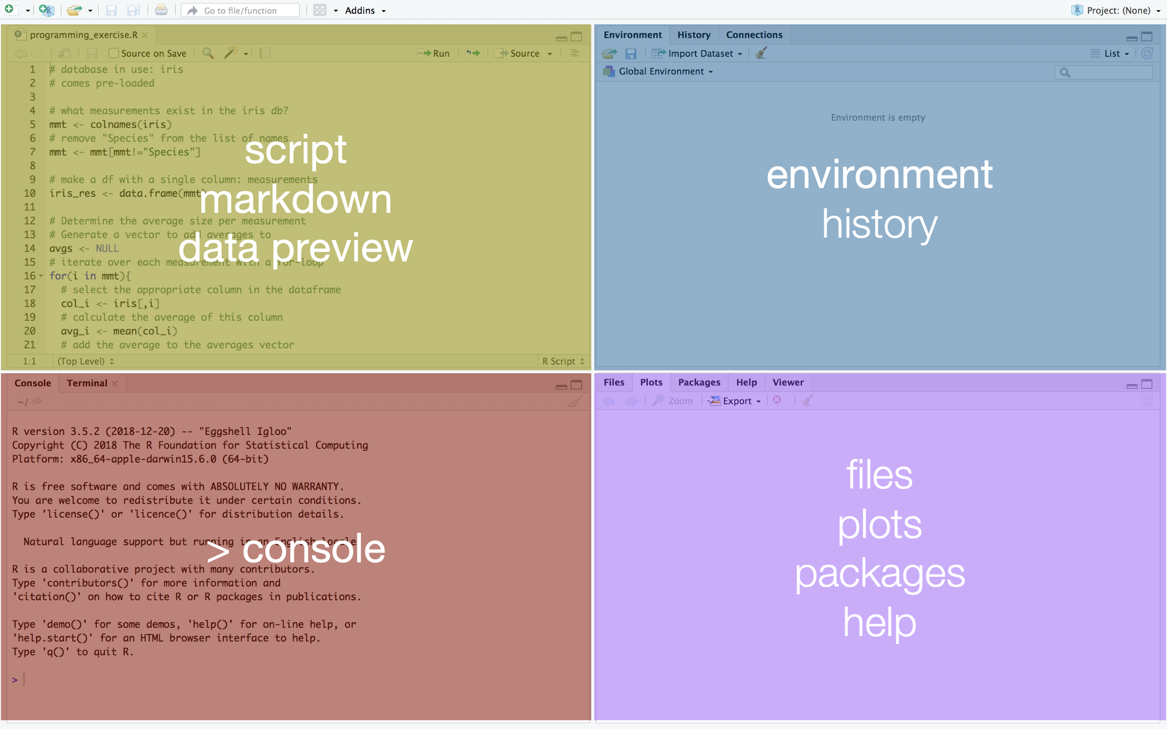 Training on Statistics and Data Analysis using R 👨‍💻
